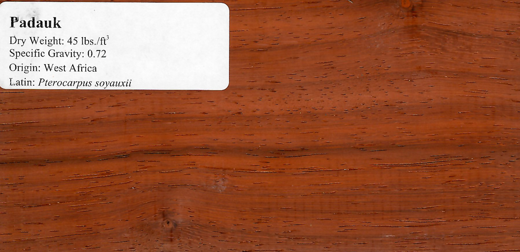 Wood Species - Patriot's Craft